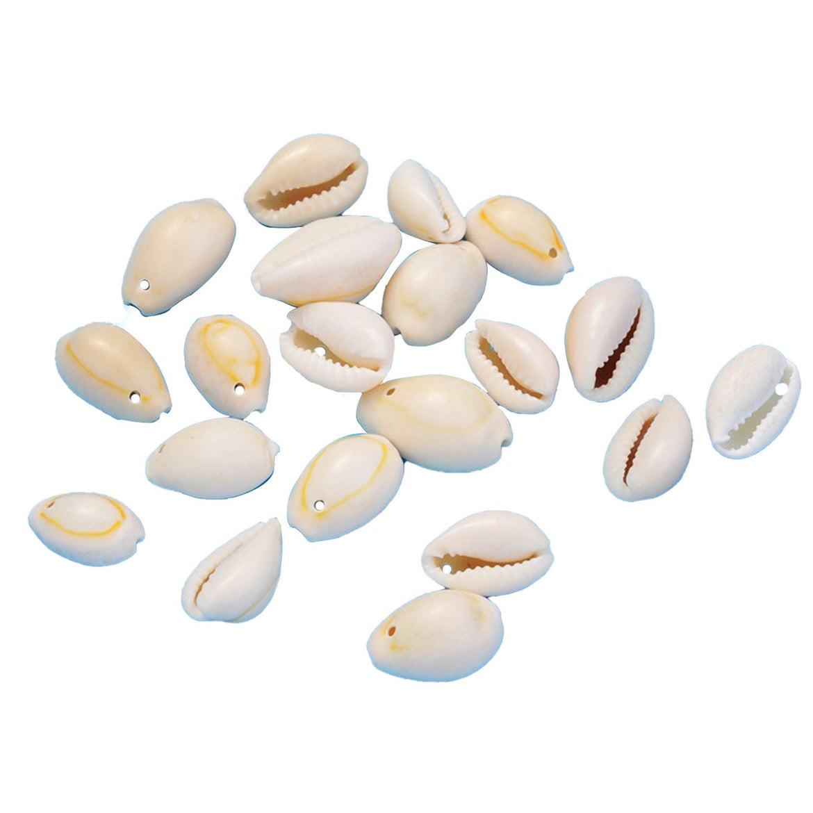 Sea Shell Beads – Aumni Crafts